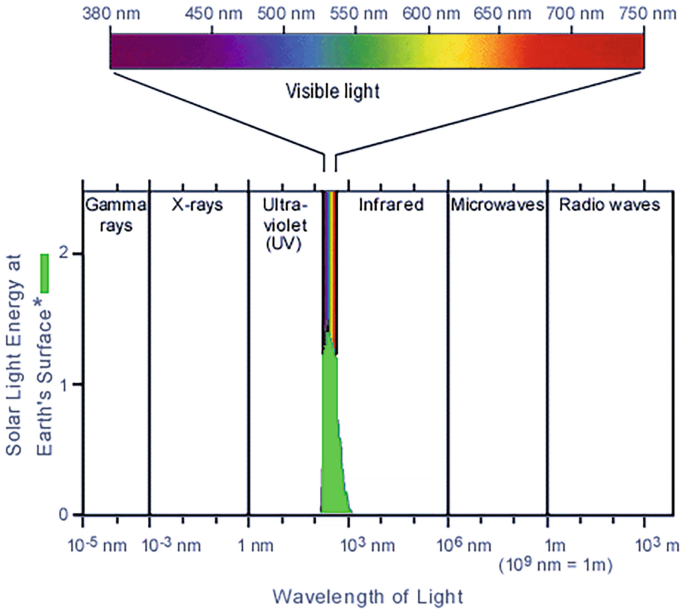 Radiation and Postharvest Quality | SpringerLink