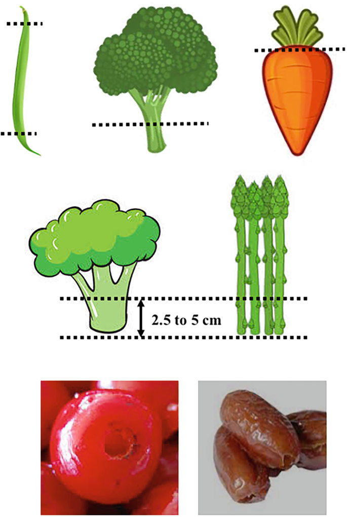 Minimal Processing of Fruits and Vegetables | SpringerLink