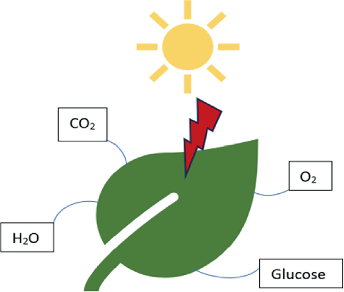 Photocatalysis: Mechanism, Classification and Basic Principles ...