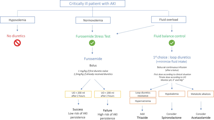 AKI Management: Diuretics | Springer Nature Link