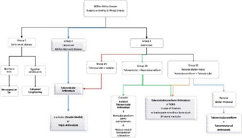 Müller-Weiss Disease: Past, Present and Future Directions | SpringerLink