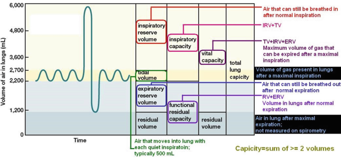 Understanding the Psychology of Breath and Breathing | SpringerLink