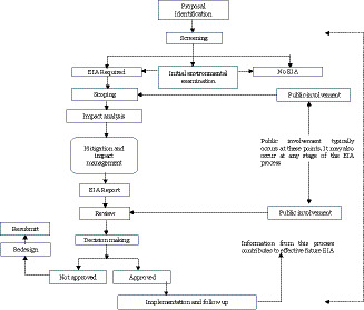 EIA Procedure—Decision Making | SpringerLink