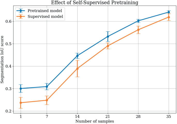 Self-Supervised Pretraining for Cortical Surface Analysis | SpringerLink