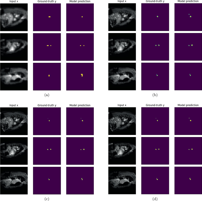 Resolution-Invariant Medical Image Segmentation Using Fourier Neural ...
