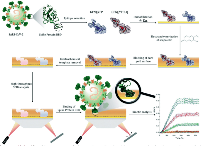 Synthesis Techniques in Molecular Imprinting: From MIP Monoliths to MIP ...