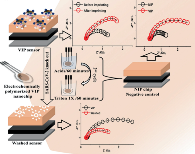 Recent Trends in MIP-Based Virus Sensors | SpringerLink