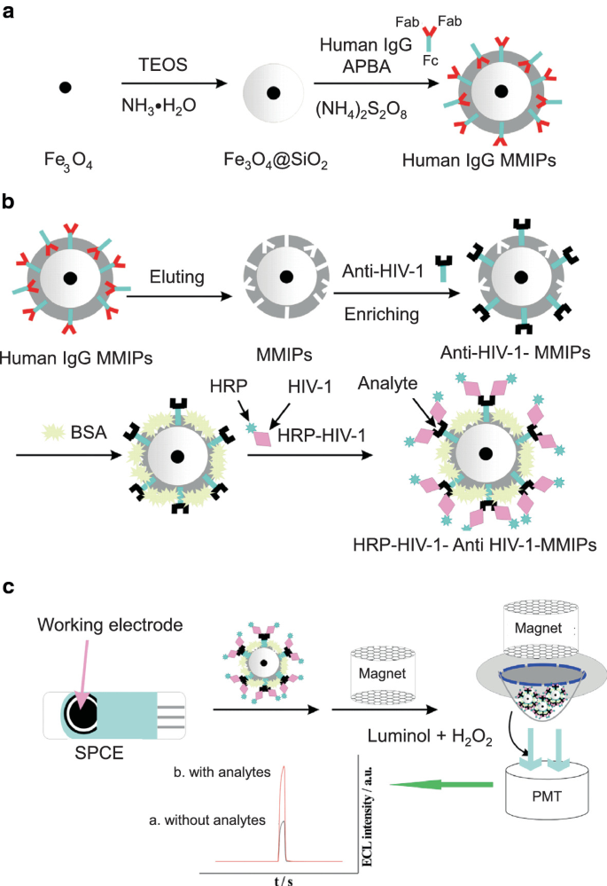 Recent Trends in MIP-Based Virus Sensors | SpringerLink