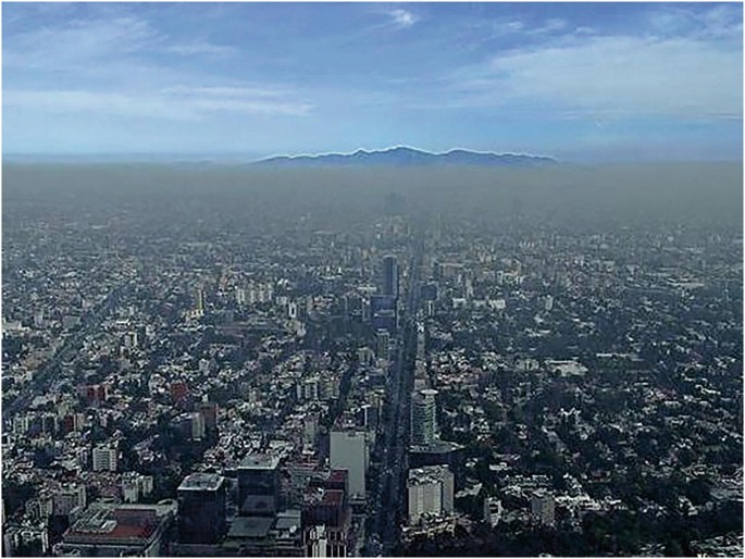 Combating Air Pollution: Lessons from Mexico City | SpringerLink