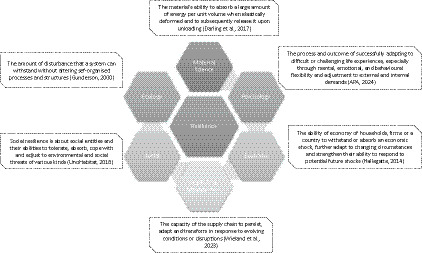 Resilience in Service Supply Chains | SpringerLink