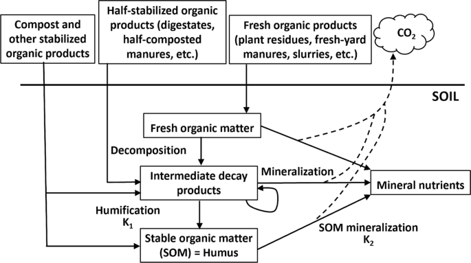 Soil Improvement and Reclamation | SpringerLink
