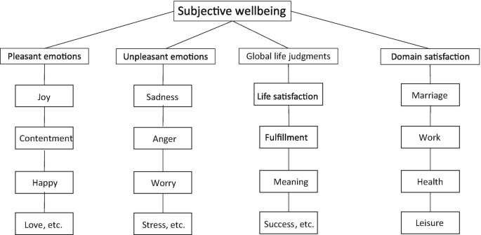 Happiness and Wellbeing | SpringerLink
