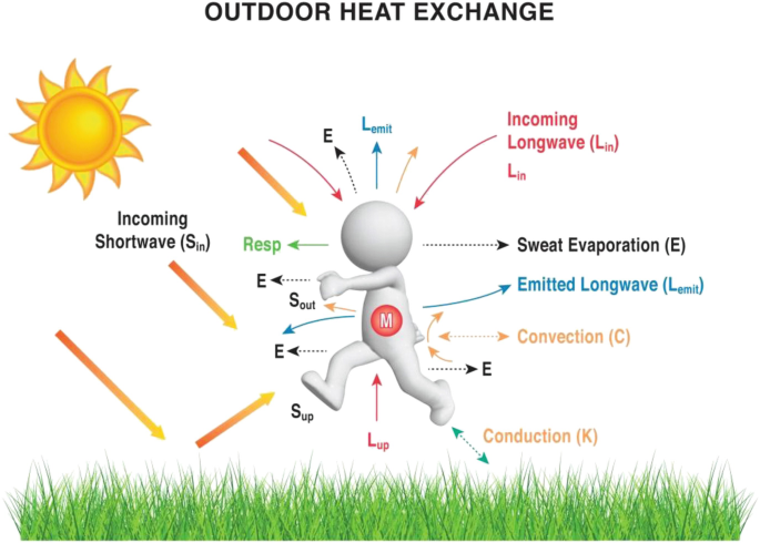 The Physical Nature of Heat and Its Measurement | SpringerLink