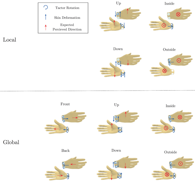 Rotational Skin-Stretch Distribution Creates Directional Force ...