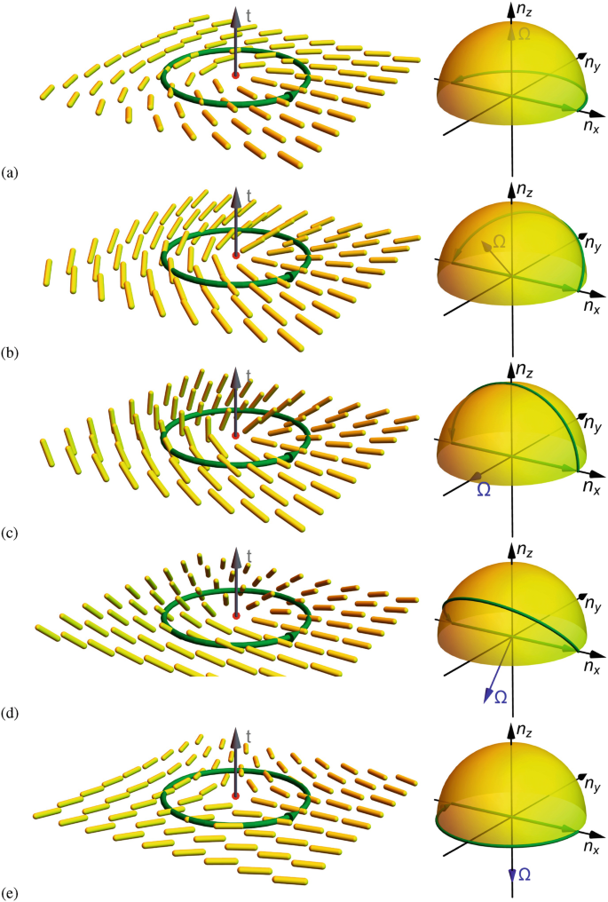 3D Polar or Nematic Order | SpringerLink