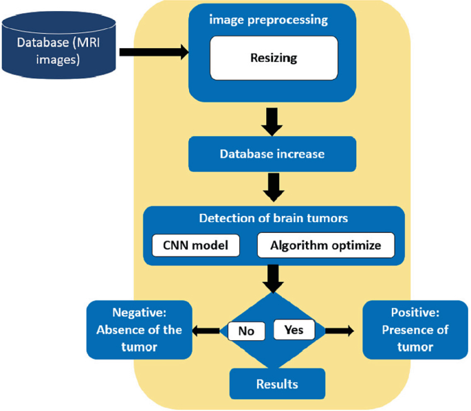 Brain Tumor Detection Using Deep Learning (CNNs) | SpringerLink