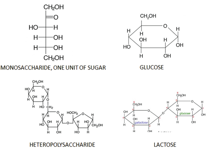 Biochemistry of Bio-based Additives | SpringerLink