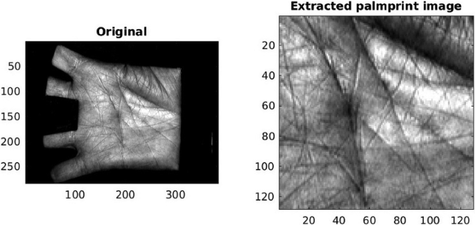 Palmprint Classification via Filter Faces and Feature Extraction ...
