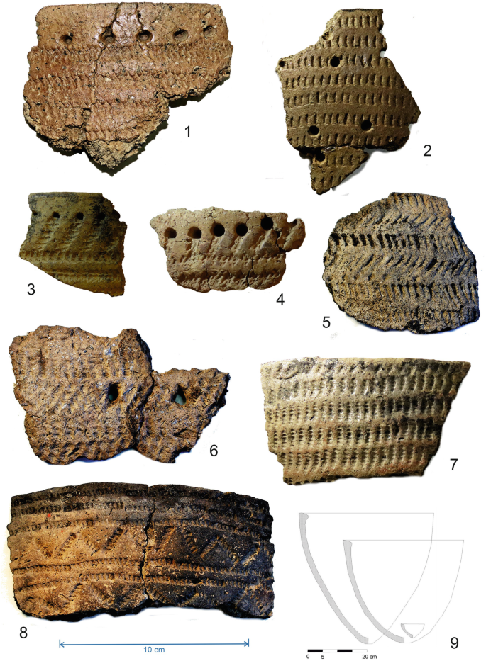 Why Pottery? A Finnish View on the Adoption and Use of Early Pottery ...