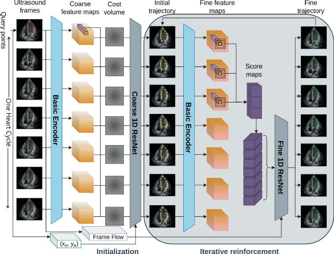 EchoTracker: Advancing Myocardial Point Tracking in Echocardiography | Springer Nature Link