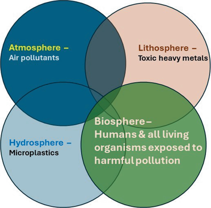 The Synergistic Threat of Pollution and Climate Change | SpringerLink