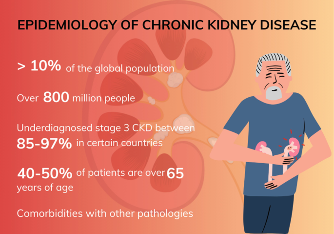 Cognitive Profiles in Chronic Kidney Disease: A New Narrative ...