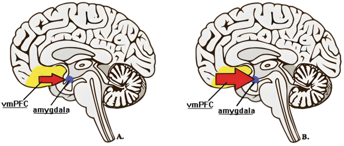 Functional Brain Alterations Associated with Depersonalization ...
