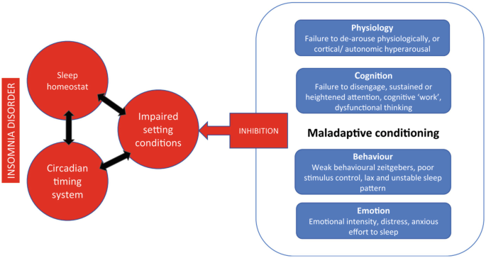 Insomnia and Inhibitory Control: Linking Electroencephalography and ...