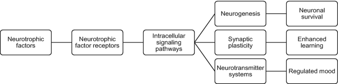 Neurotrophic Factor: Epidermal Growth Factor (EGF) and Depressive ...