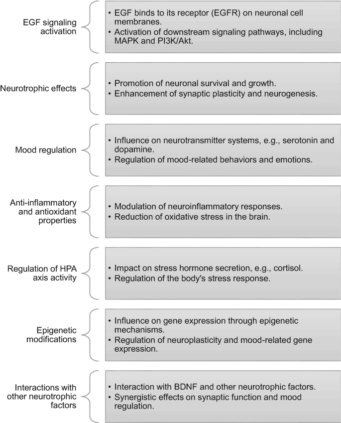 Neurotrophic Factor: Epidermal Growth Factor (EGF) and Depressive ...