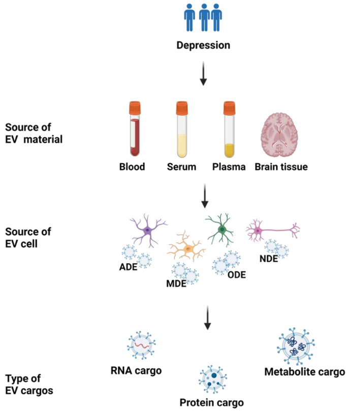 Extracellular Vesicles in Depression | SpringerLink