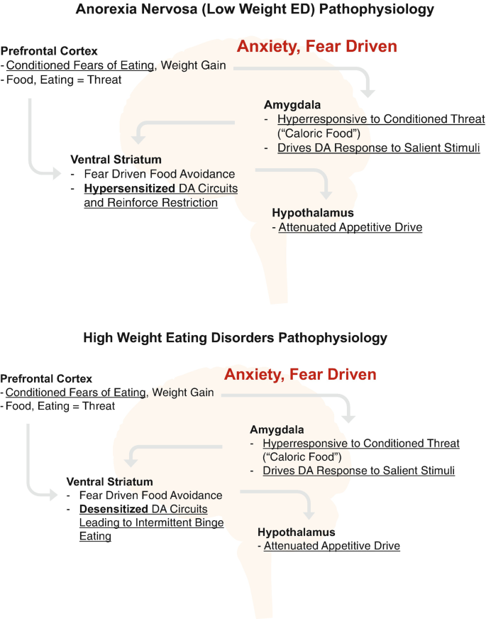 Interactions Between Fear-Driven Food Avoidance and the Ventral Striatal-Hypothalamic Circuitry ...