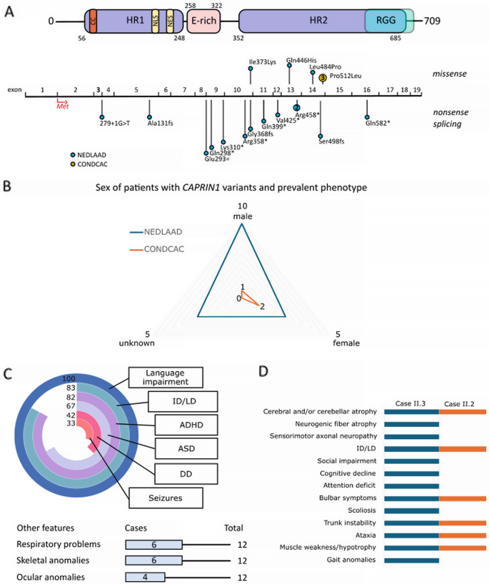 Neurogenetic Disorders and CAPRIN1 | Springer Nature Link