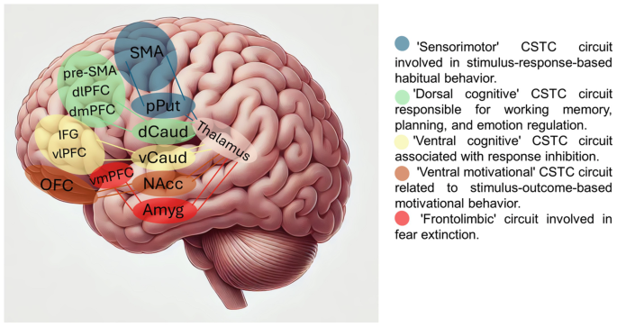 Obsessive-Compulsive Disorder and 1H-MRS: A Focus on Brain Glutamate ...