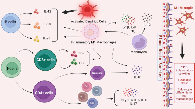 Post-traumatic Stress Disorder (PTSD): Linking Inflammatory and Neural ...