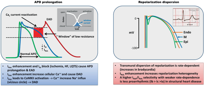 Proarrhythmias | SpringerLink