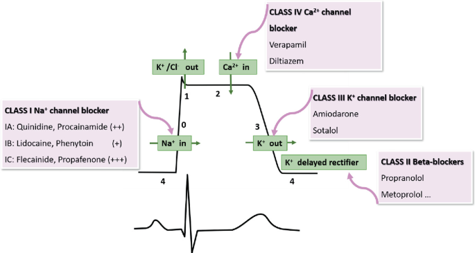 Classification of Antiarrhythmic Drugs | SpringerLink