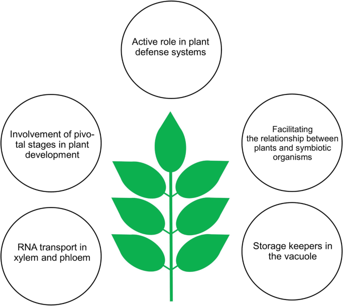 Cytotoxicity and Medicinal Applications of Plant Lectins | SpringerLink