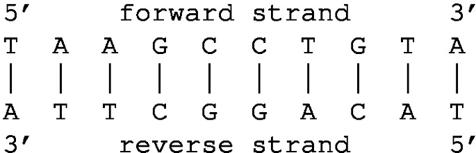Introduction to Molecular Biology and Genetics | Springer Nature Link ...