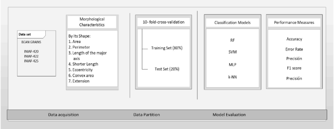 Multiclass Classification of Dry Bean Grains Using Machine Learning Techniques | SpringerLink