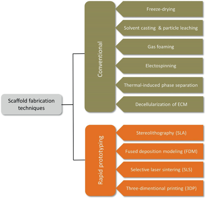 Methods Used to Fabricate Tissue Engineering Scaffolds | Springer ...