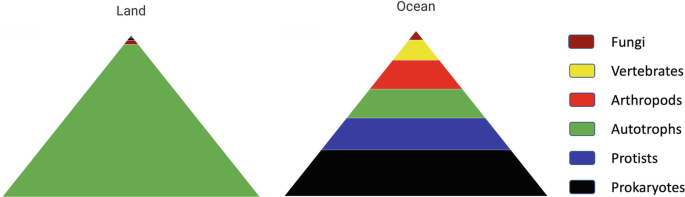 The Biomass Distribution in Earth’s Ecosystems | SpringerLink