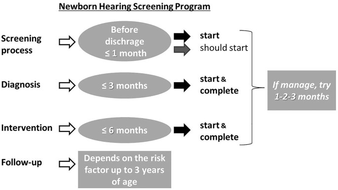 Newborn Hearing Screening | SpringerLink