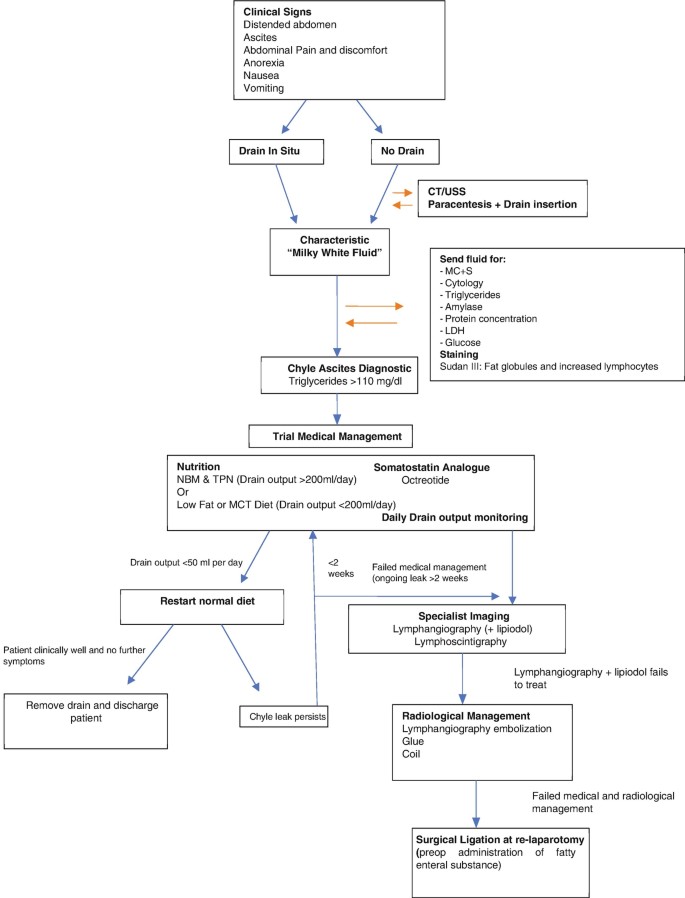 Chylous Leakage After Gastrectomy | Springer Nature Link