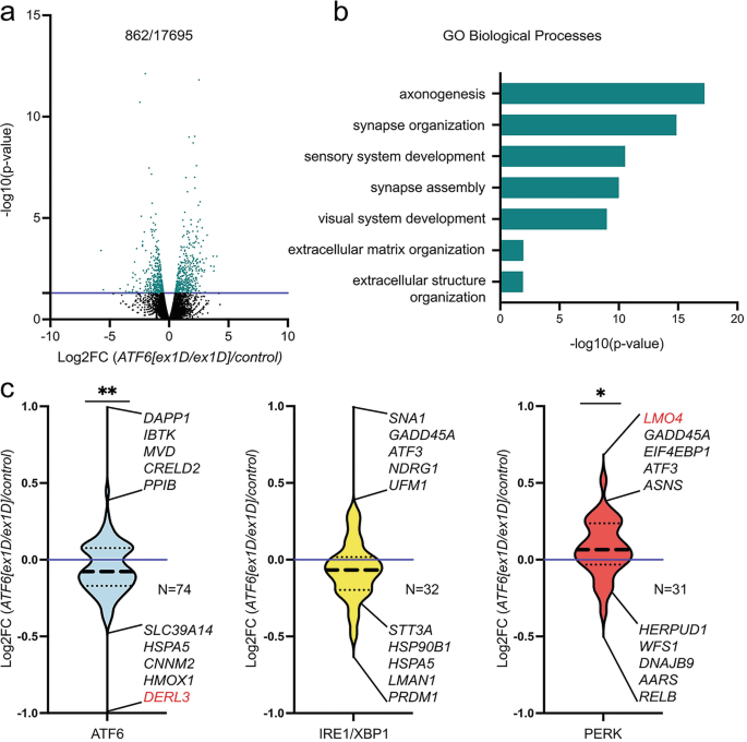 Dysregulation of Retinal and Photoreceptor Structural Integrity Genes ...