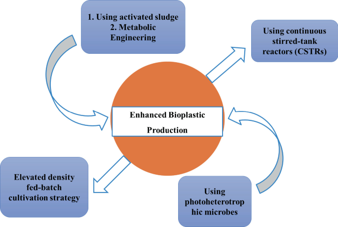 Microbial Production of Bioplastics: Current Status and Future ...