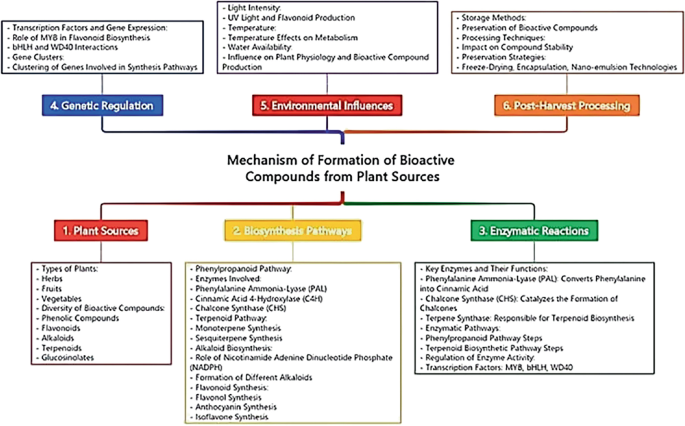 Exploring the Therapeutic Potential of Bioactive Compounds from Plant ...