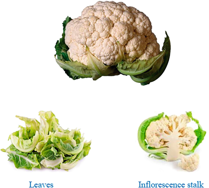 Phytochemicals from Cauliflower (Brassica oleracea) By-Products ...