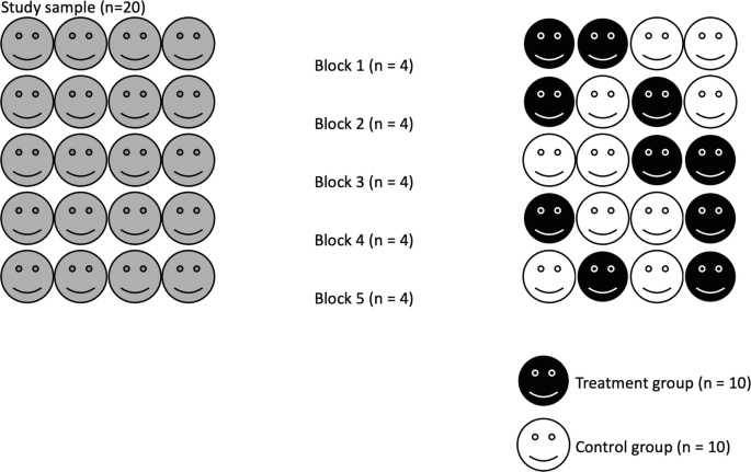 Randomization Strategies | SpringerLink