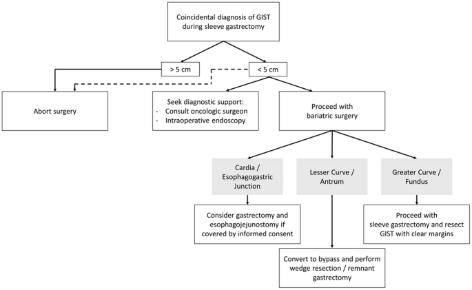GIST Management in Sleeve Gastrectomy | Springer Nature Link